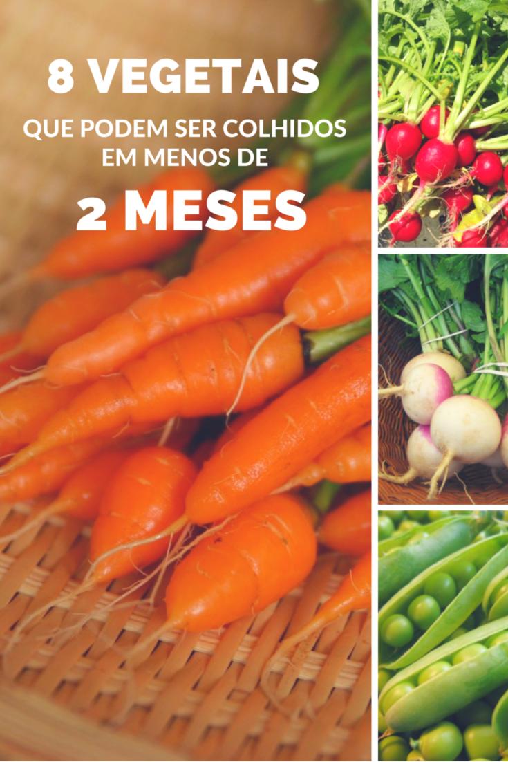 24 novos legumes que podem ser facilmente cultivados dentro de casa ...