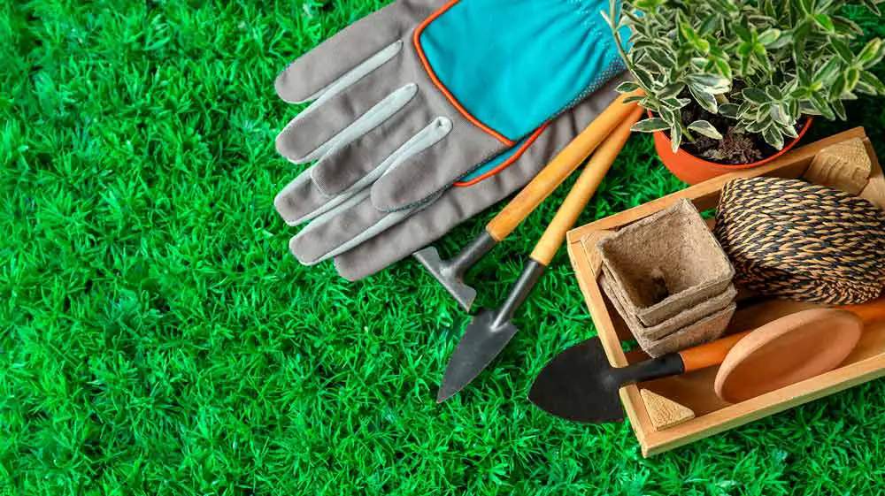 5 maneiras de melhorar a sua relva - Noticias De Jardim