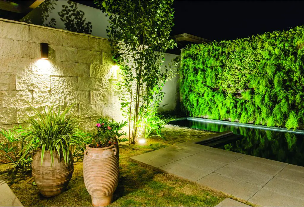 Como criar um jardim: um guia completo - Noticias De Jardim