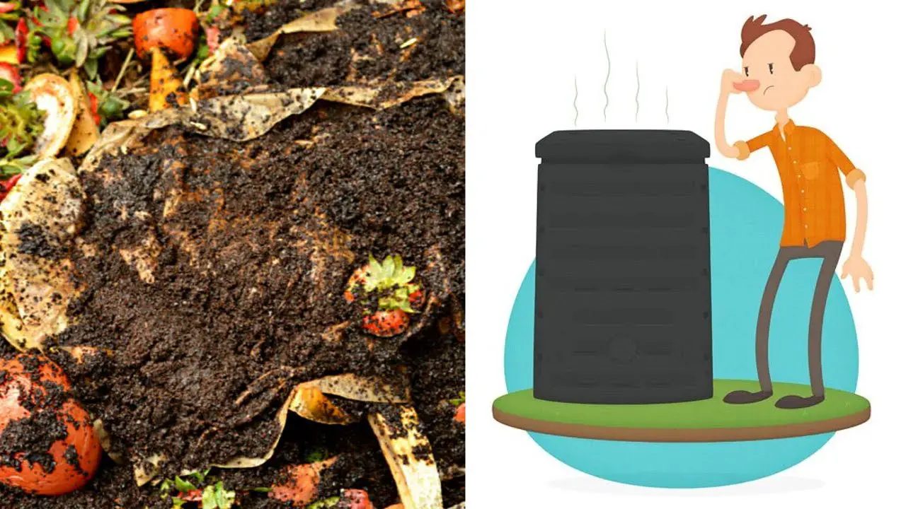 Como evitar que o composto cheire demasiado - Noticias De Jardim